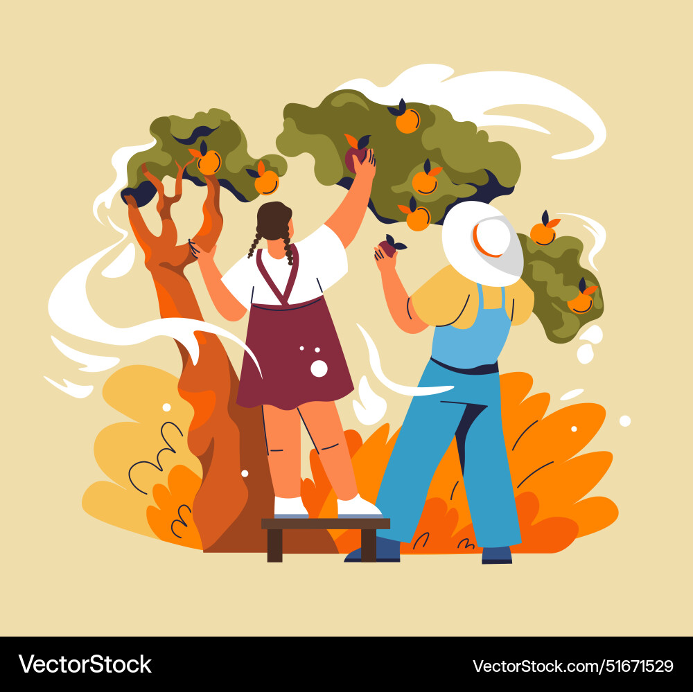 Fruit picking in orchard scene Royalty Free Vector Image