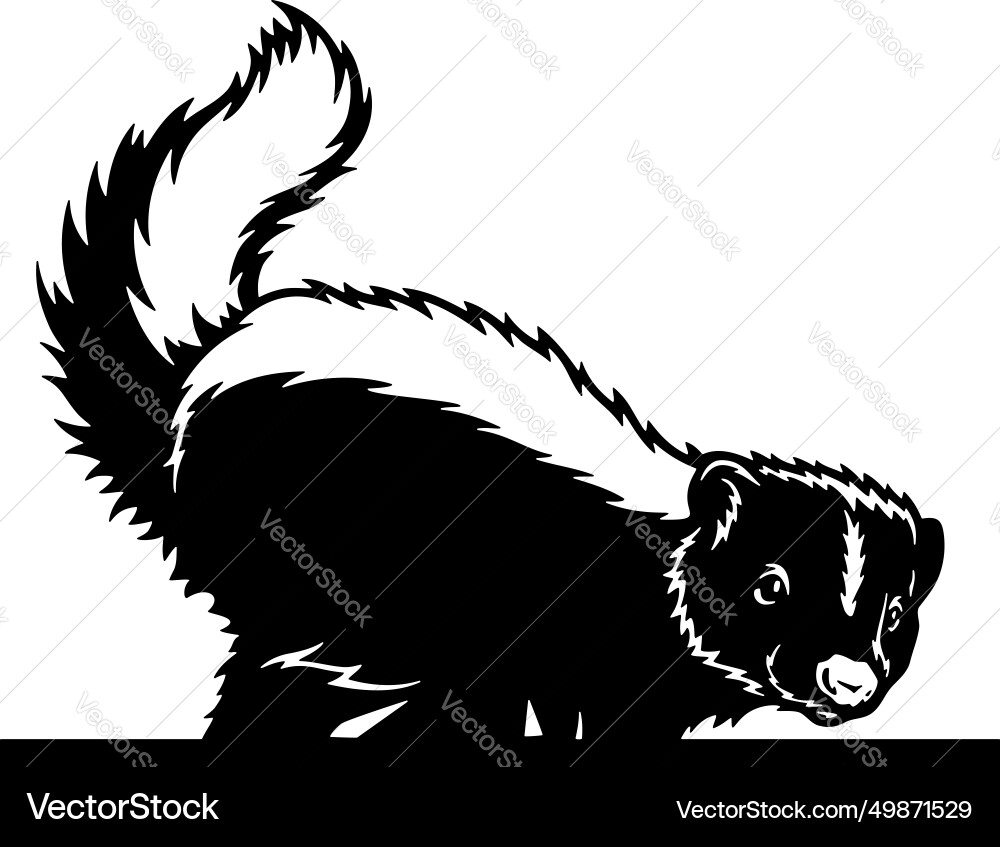 Peeking skunk stencil - animal cut file Royalty Free Vector