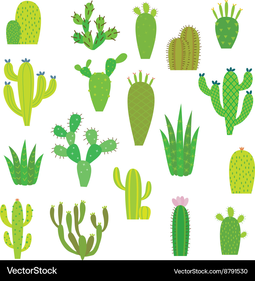 Cactus collection Royalty Free Vector Image - VectorStock
