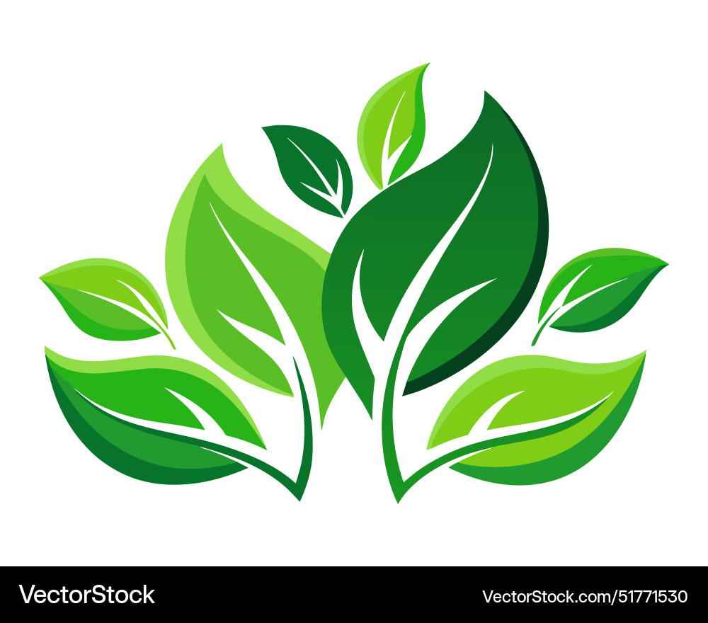 Green leaves icon design isolated flat on white Vector Image