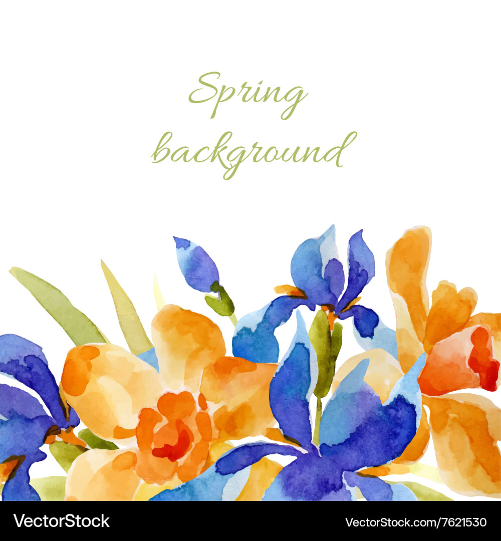Spring background watercolor lowers Royalty Free Vector