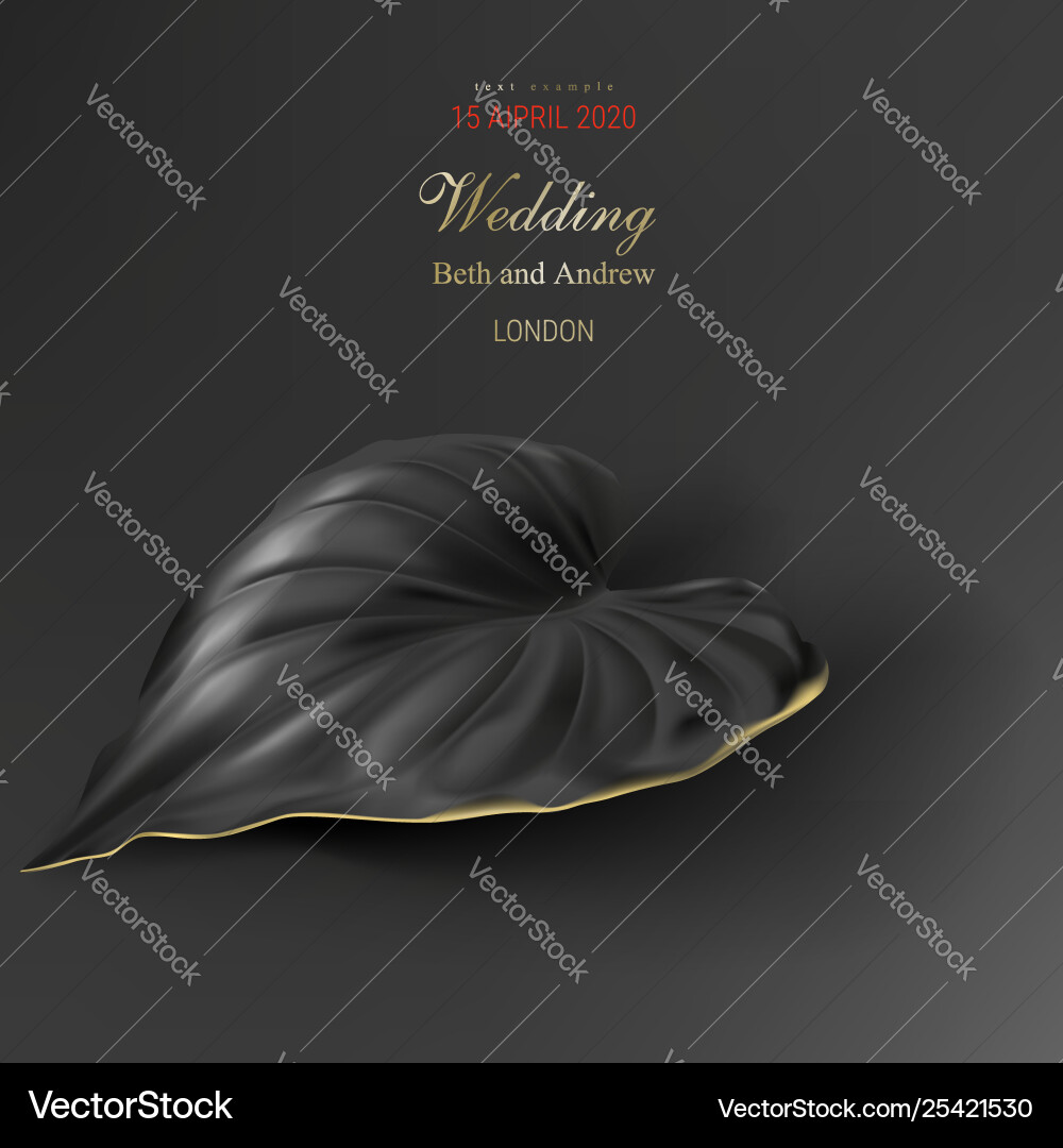 Tropical black and gold leaf on dark background Vector Image
