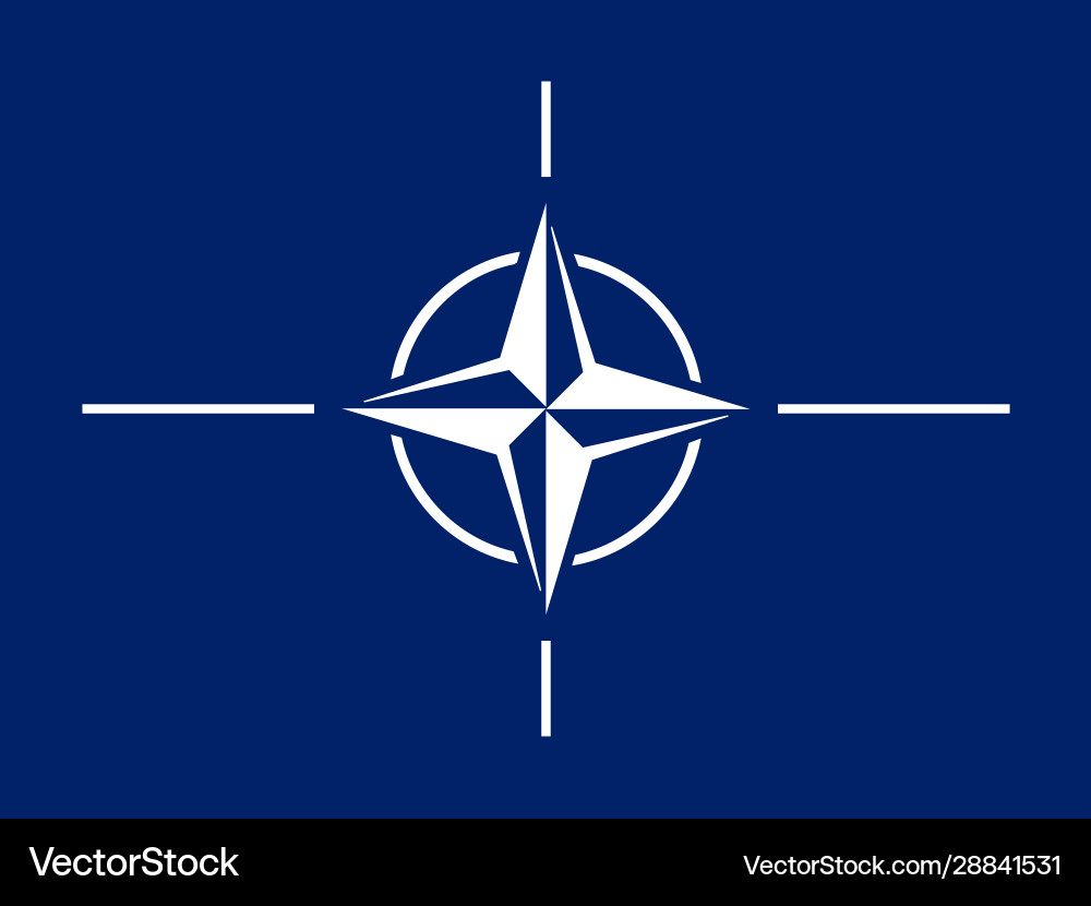 Flag nato isolate banner print Royalty Free Vector Image