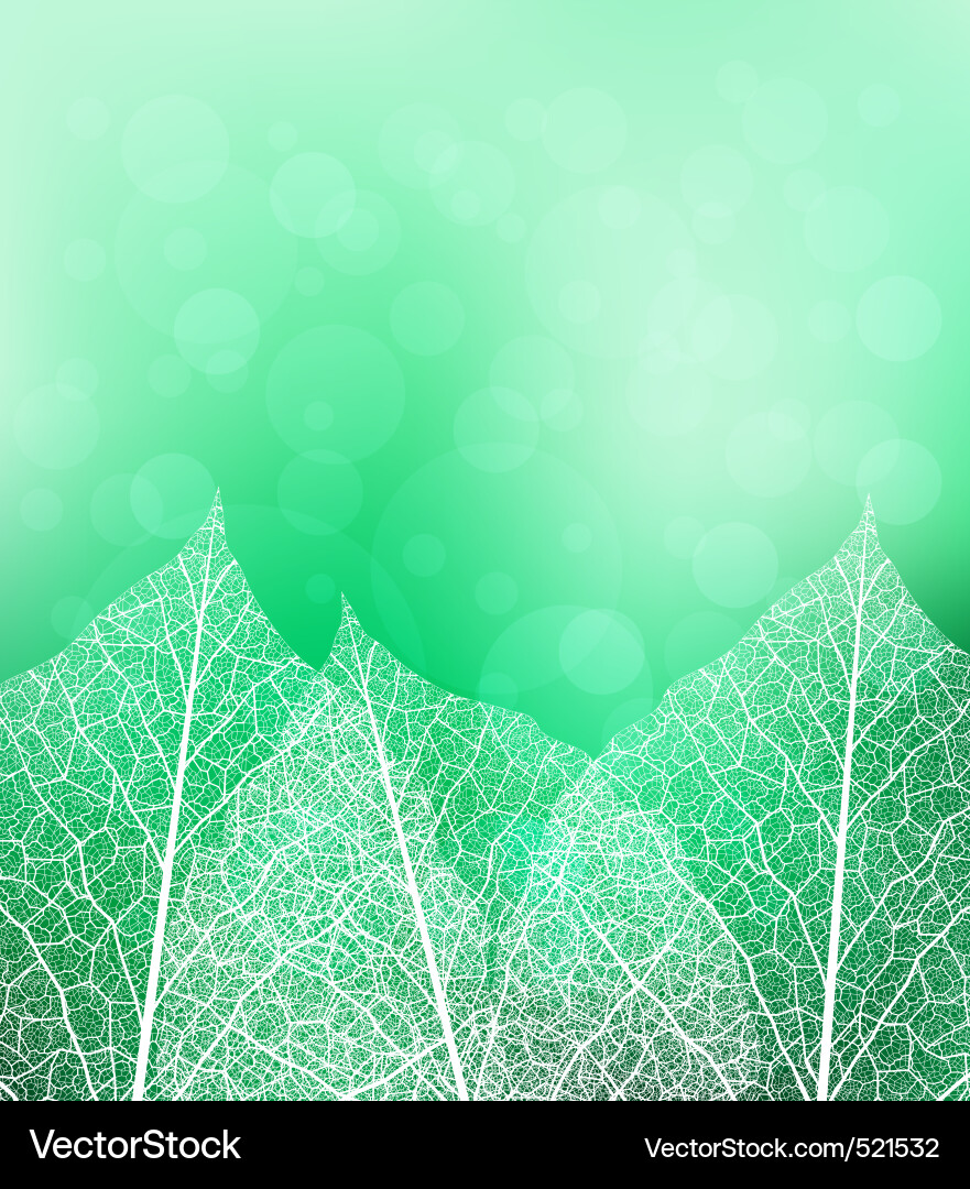 Green Royalty Free Vector Image - VectorStock