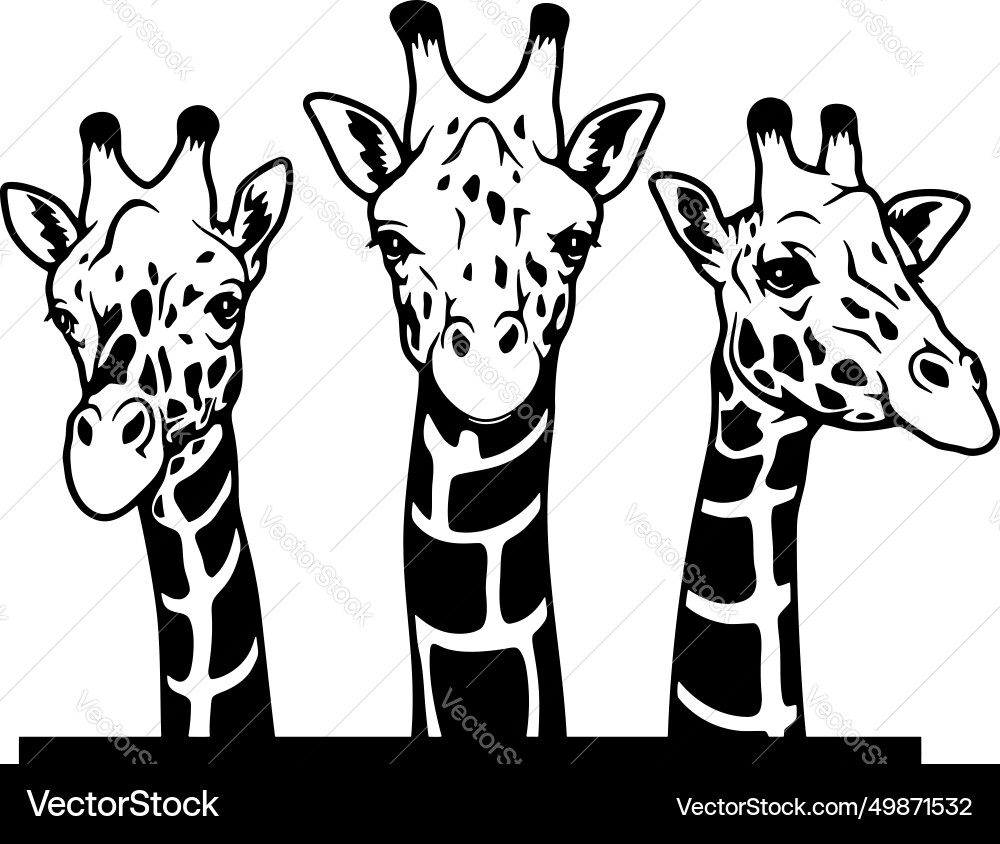 Peeking giraffes stencil - animal cut file Vector Image