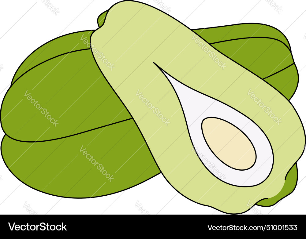 Chayote isolated hand drawn Royalty Free Vector Image