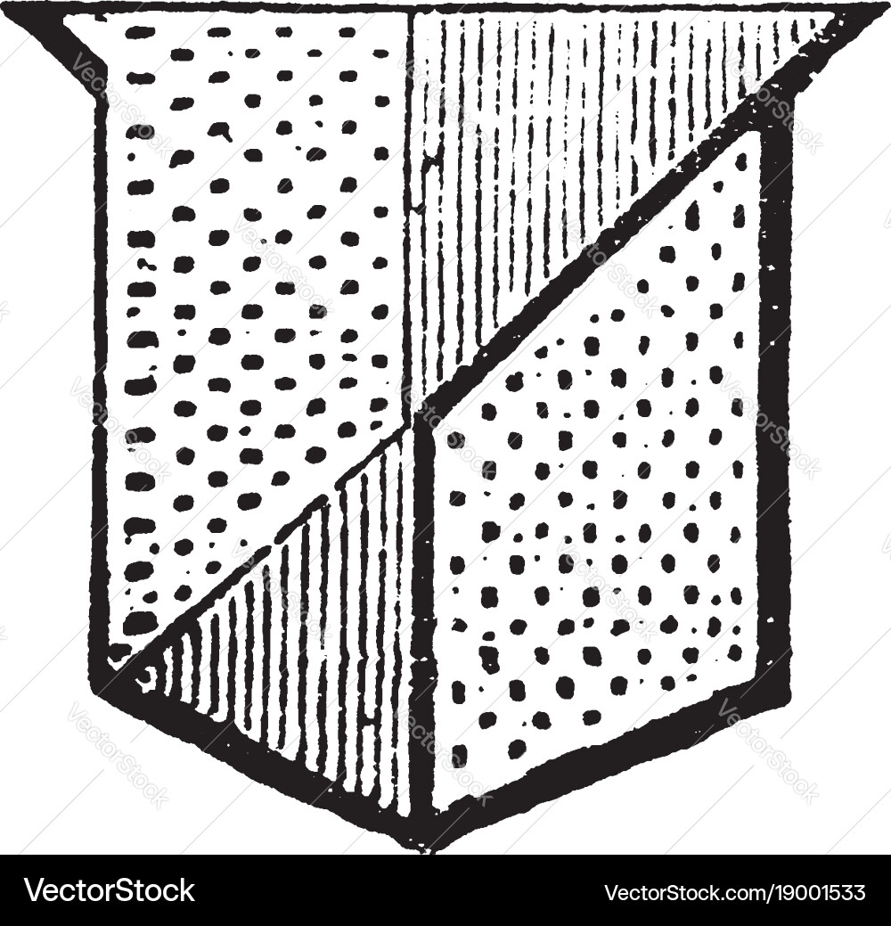 Parted per pale and bend sinister have Royalty Free Vector