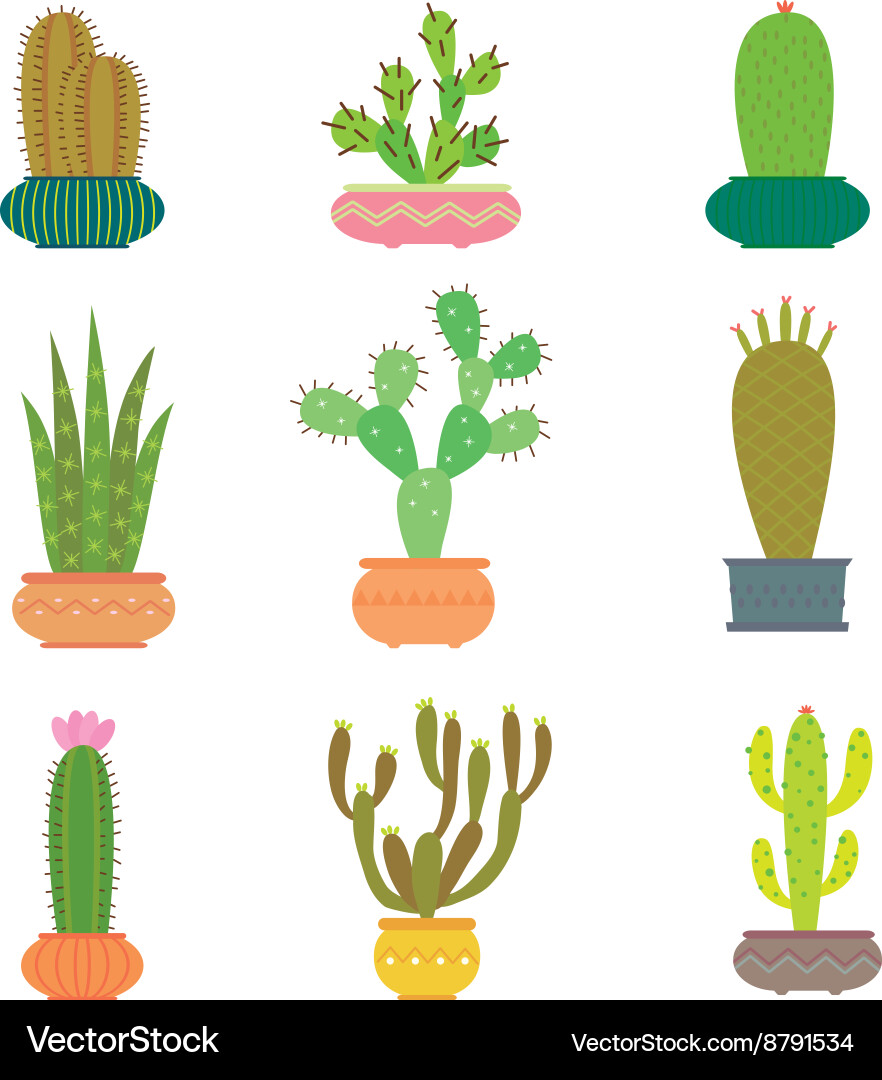 Cactus collection Royalty Free Vector Image - VectorStock