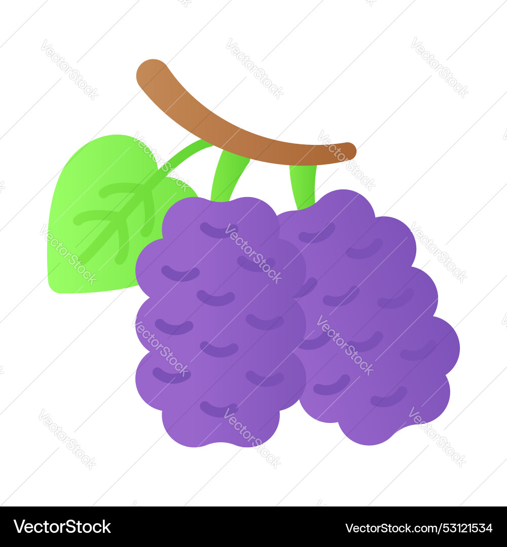 Mulberry Royalty Free Vector Image - VectorStock