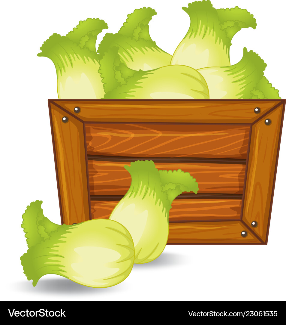 Lettuce on wooden banner Royalty Free Vector Image