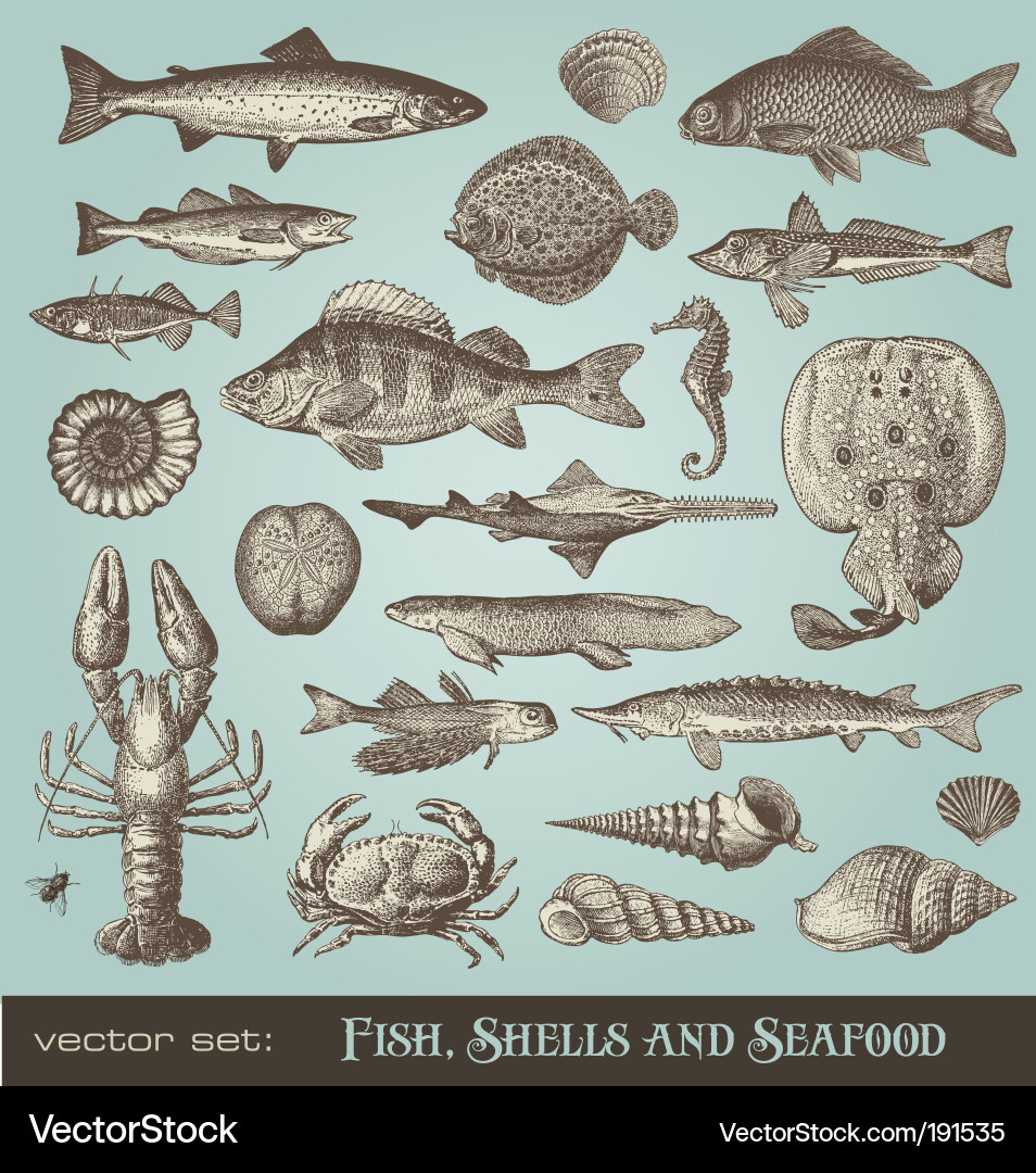 Fish Engraving Vector Images (over 7,800)