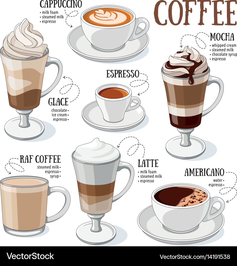 Coffee guide Royalty Free Vector Image - VectorStock