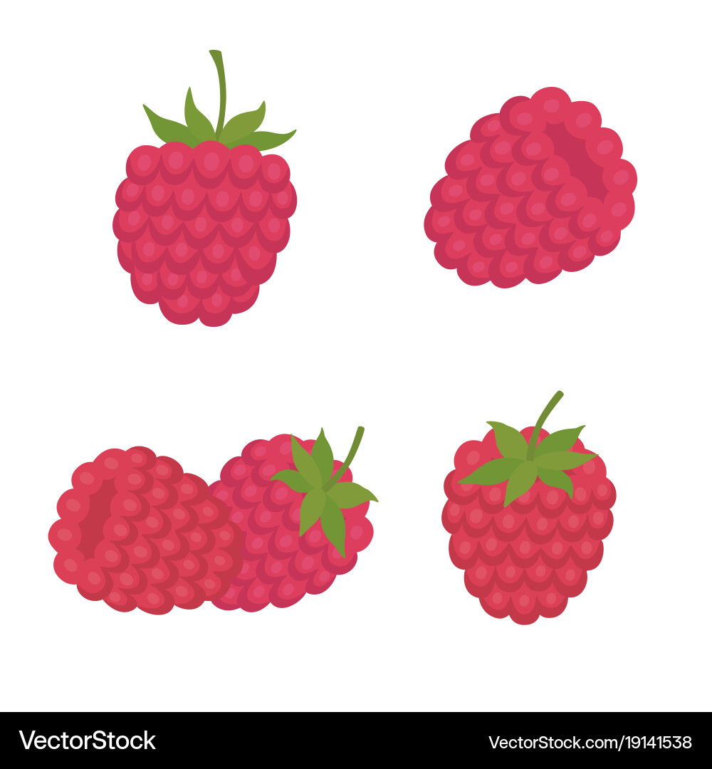 Sweet berry a raspberry Royalty Free Vector Image