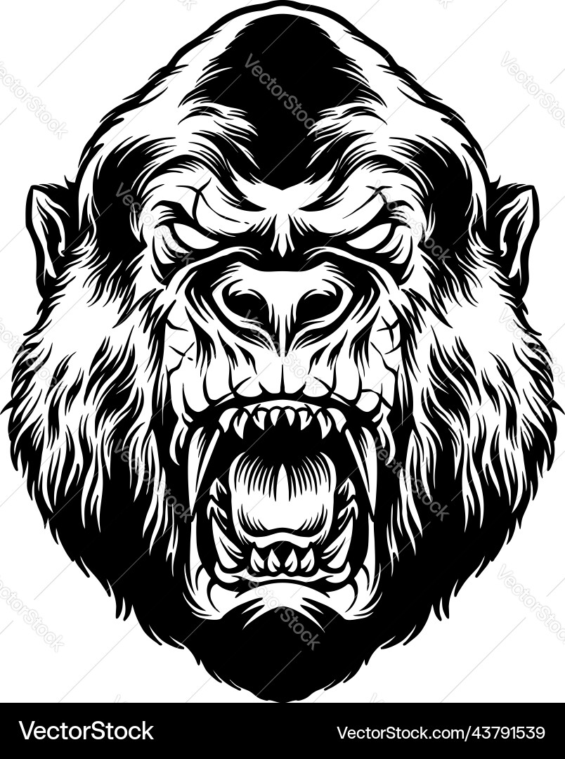 Angry gorilla head silhouette Royalty Free Vector Image