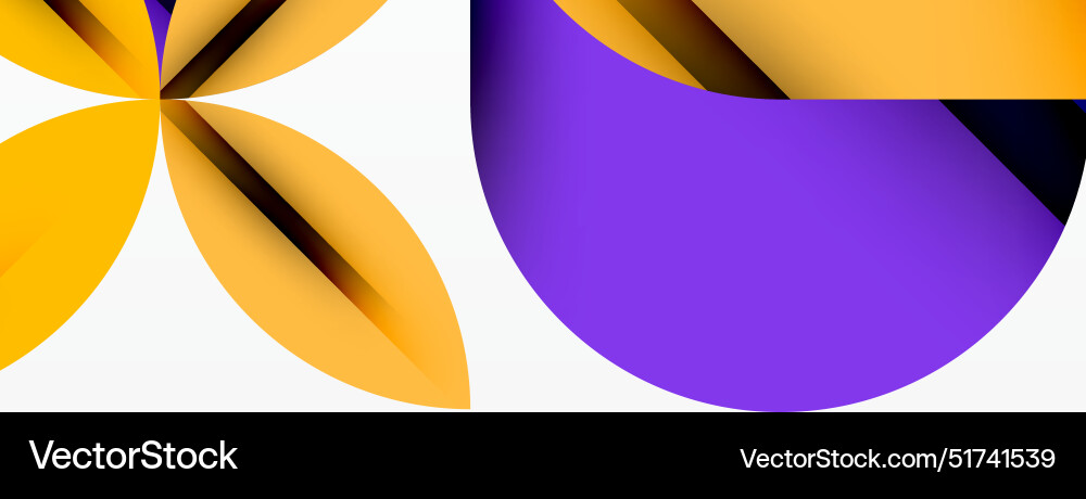 Circle square and flower petal geometric Vector Image