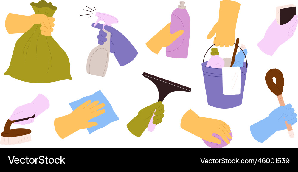 Housemaid holding duster and cleaning elements Vector Image