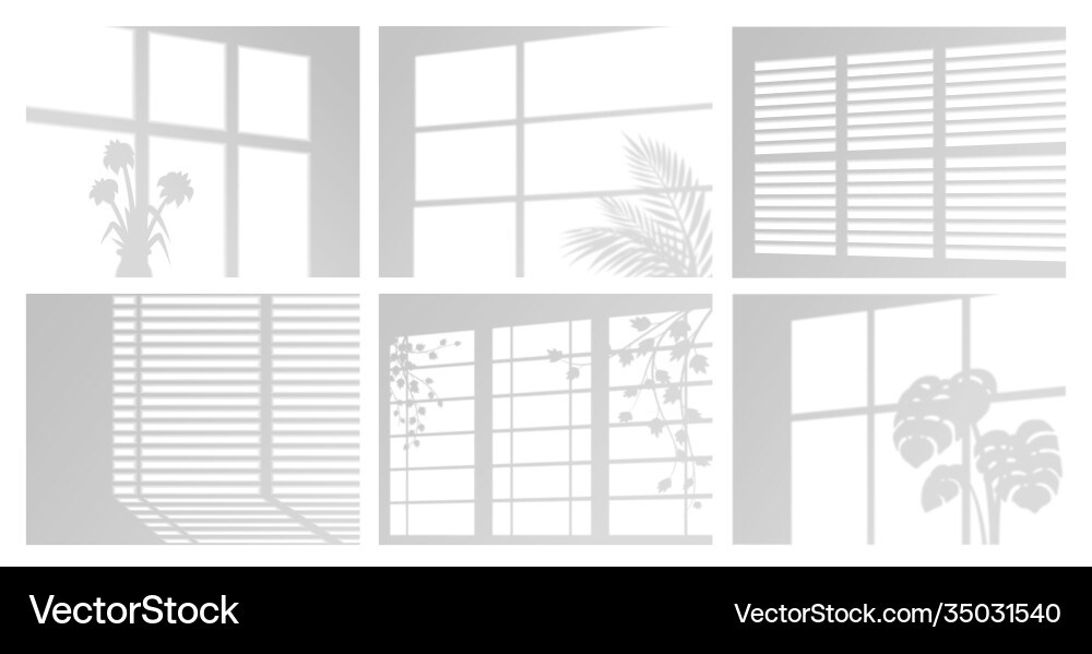 Shadow and light from windows with blinds Vector Image
