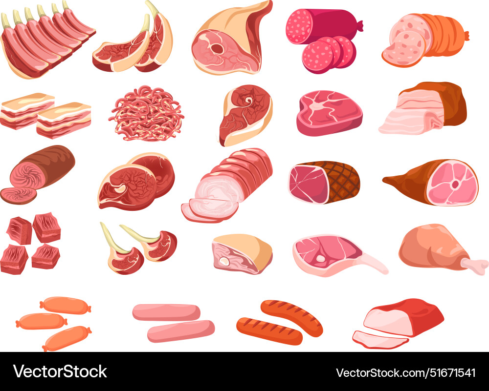 Assorted meat cuts on display Royalty Free Vector Image