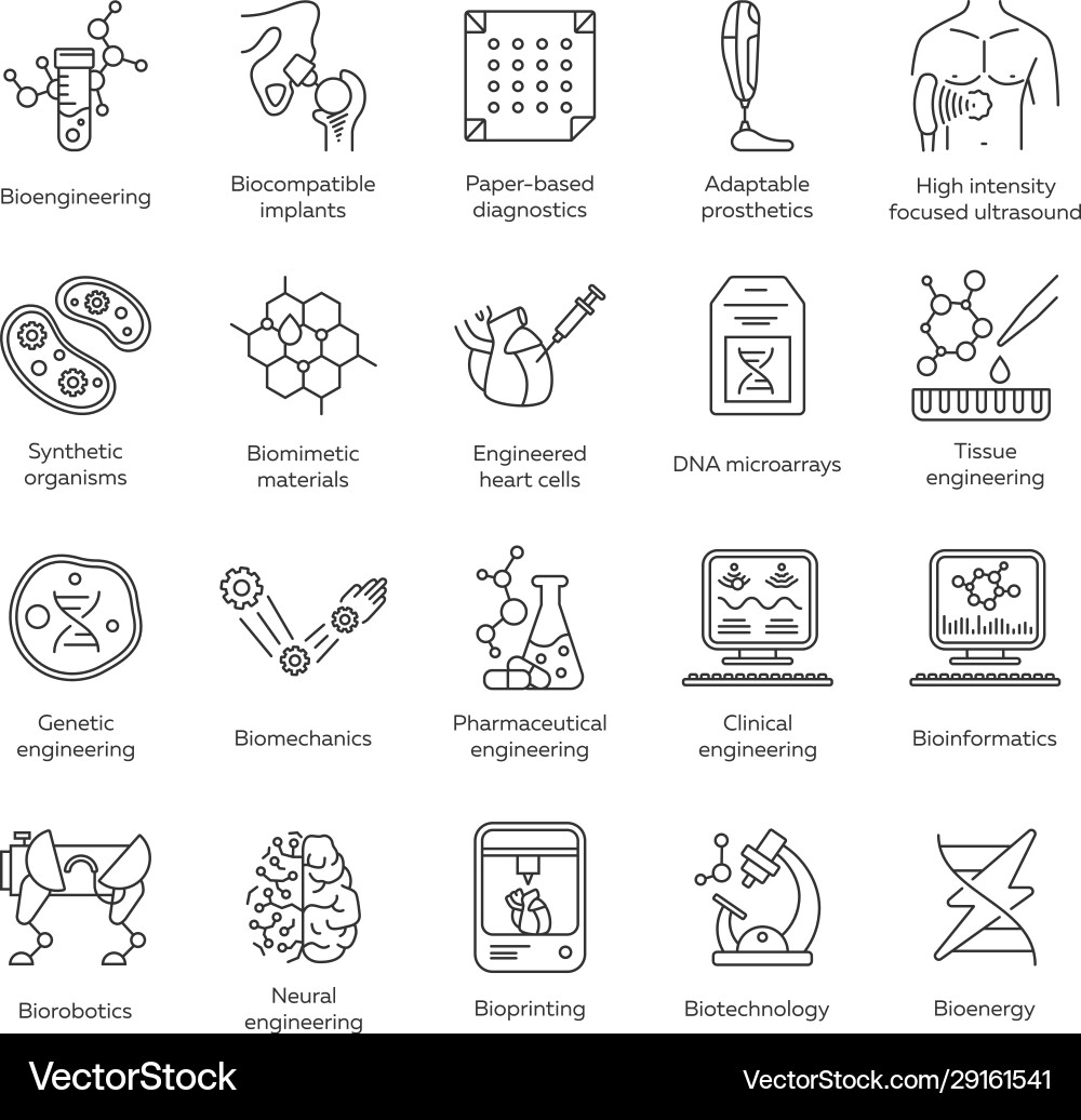 Bioengineering linear icons set biotechnology Vector Image
