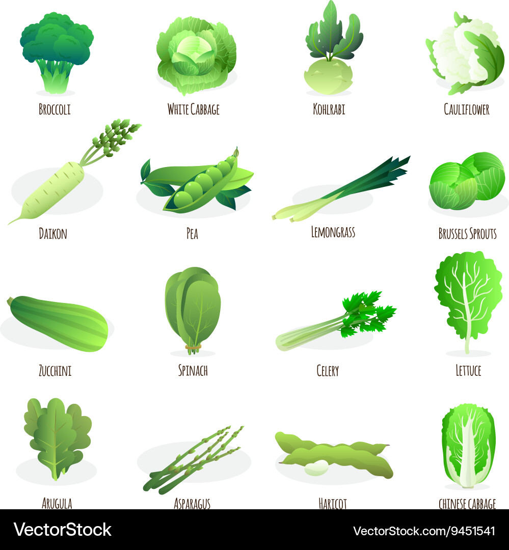 Fresh Green Vegetable Icons Royalty Free Vector Image