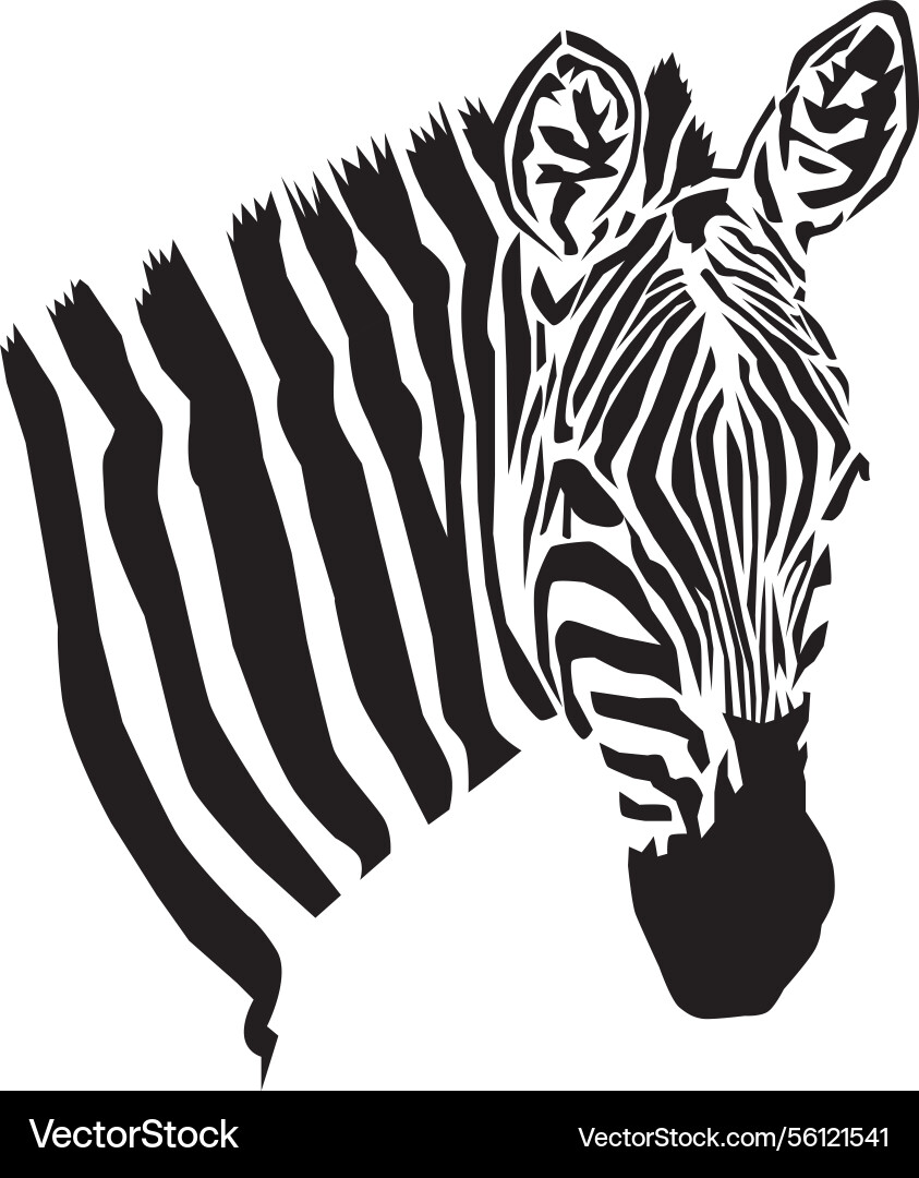 Zebra head Royalty Free Vector Image - VectorStock