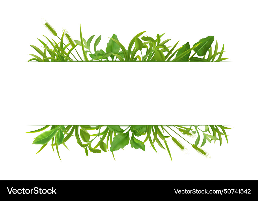 Grass leaves realistic border Royalty Free Vector Image