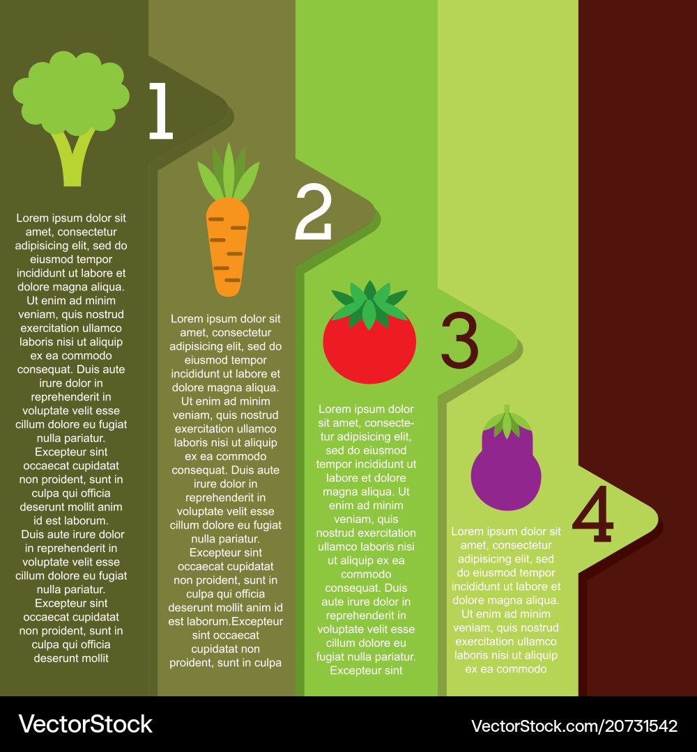 Nutritional food design Royalty Free Vector Image