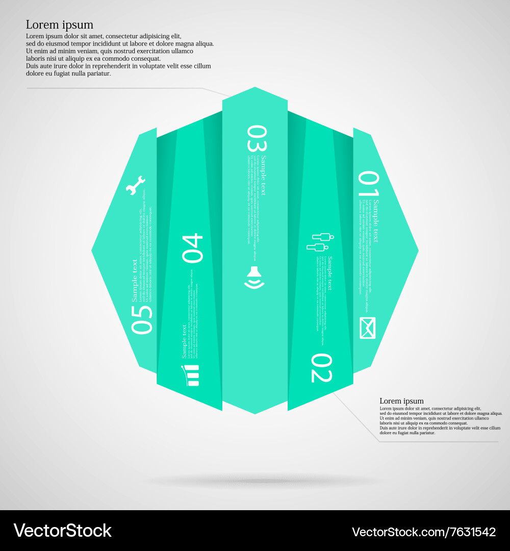 Octagon infographic template vertically divided Vector Image
