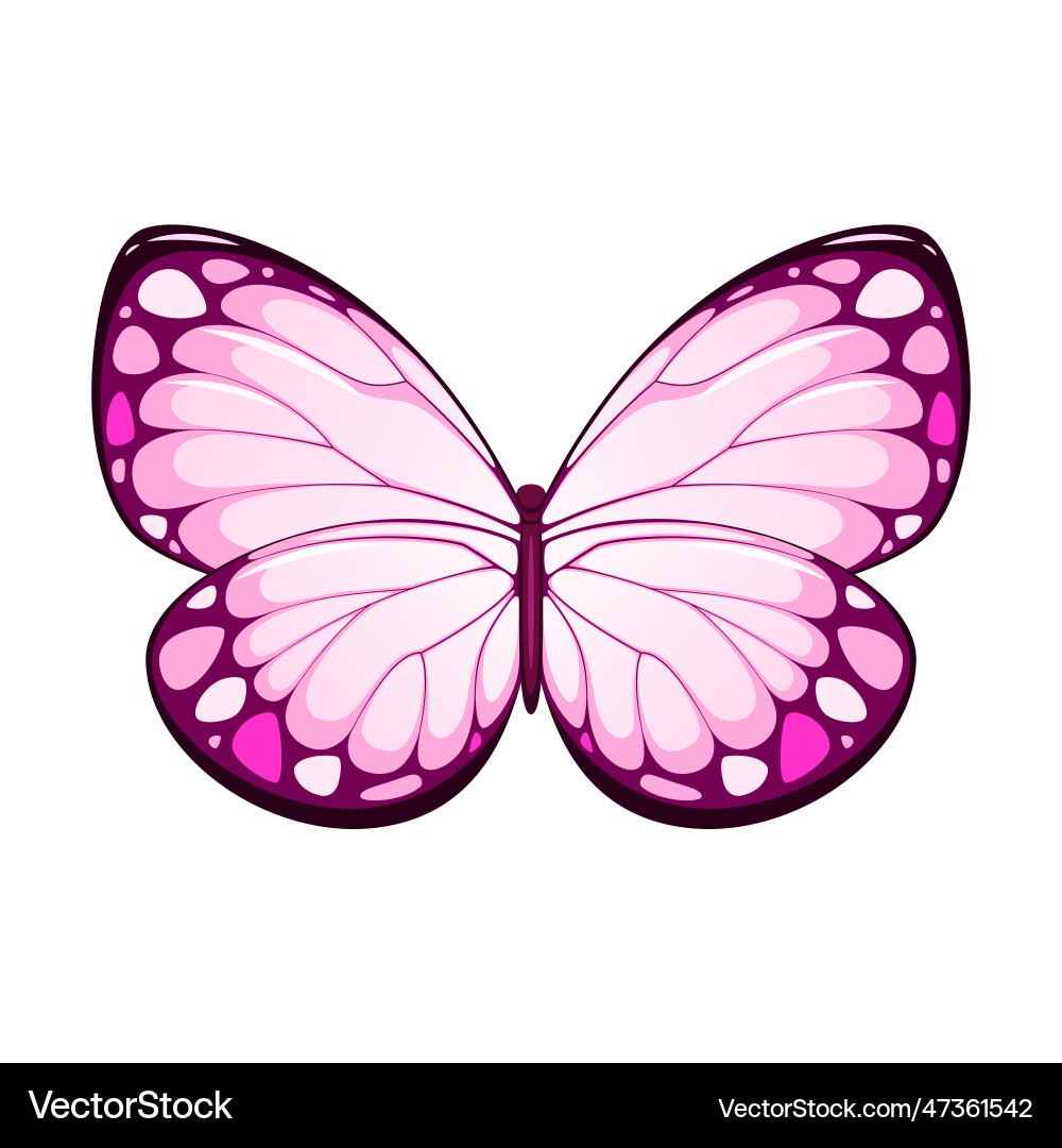 Pink butterfly Royalty Free Vector Image - VectorStock