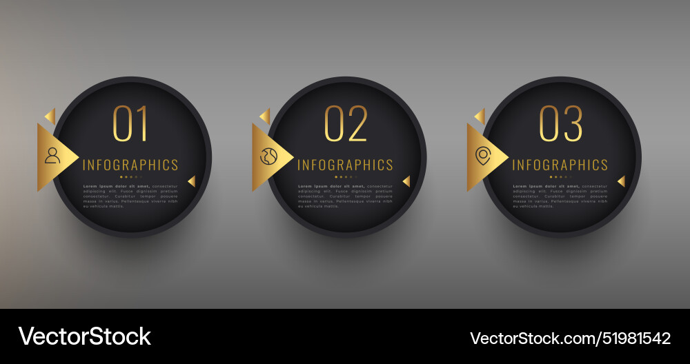 Step by process to display web information Vector Image