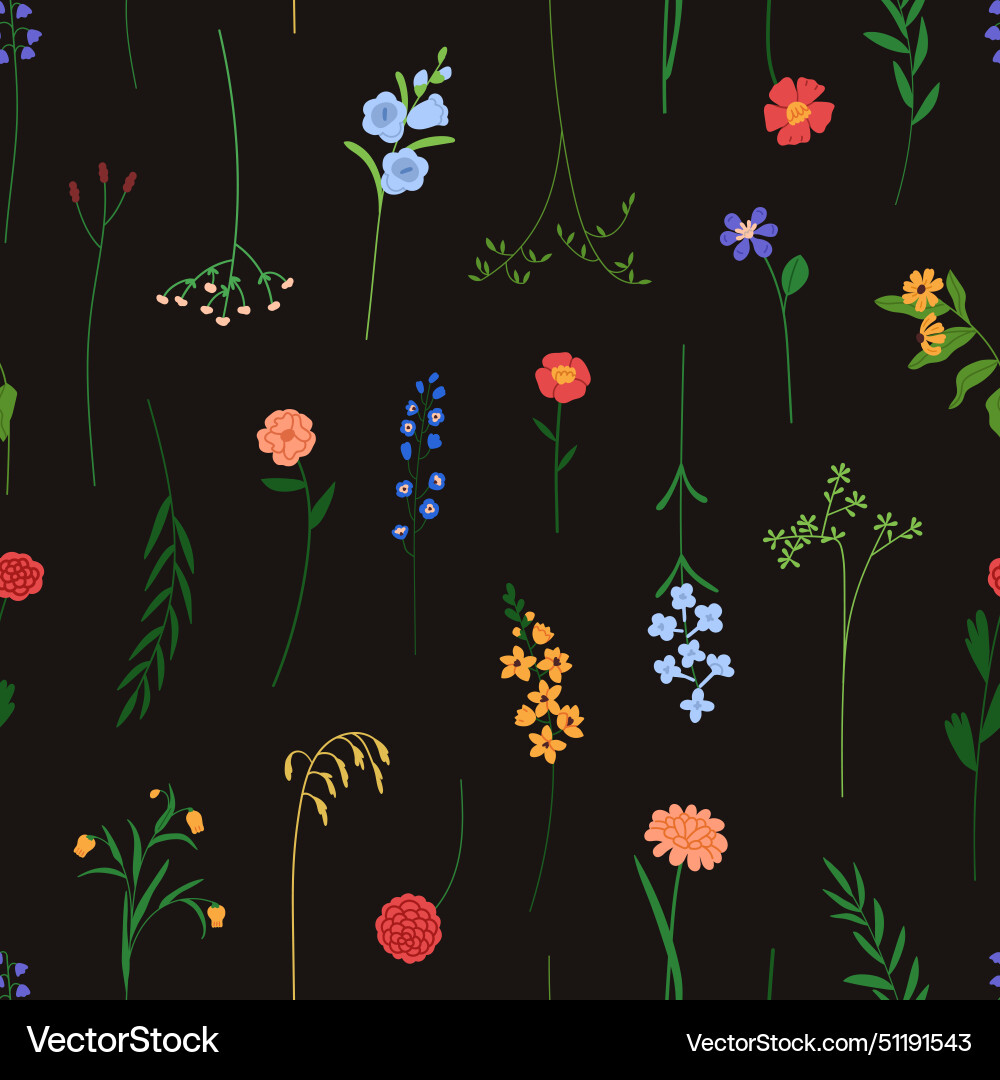 Floral botanical pattern seamless flower print Vector Image