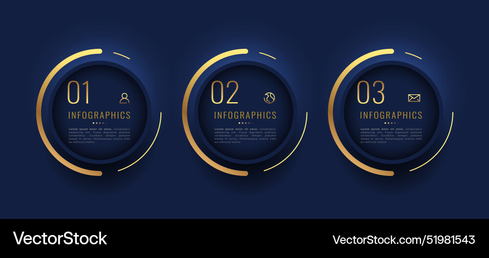 Three Step Premium Business Element Infographic Vector Image