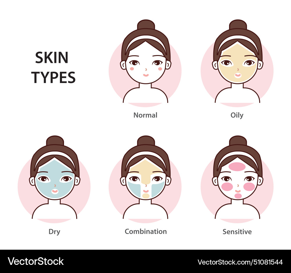 Different skin types set Royalty Free Vector Image