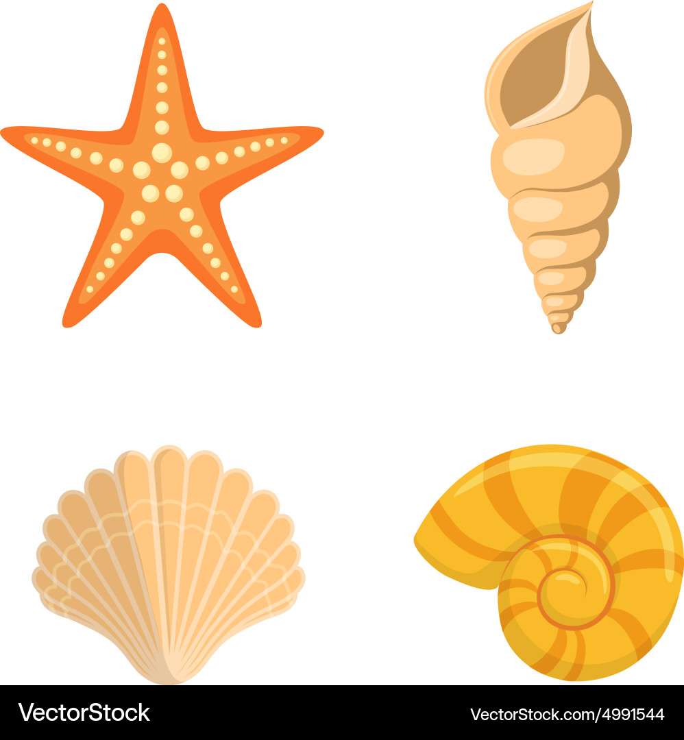 Sea shells Royalty Free Vector Image - VectorStock