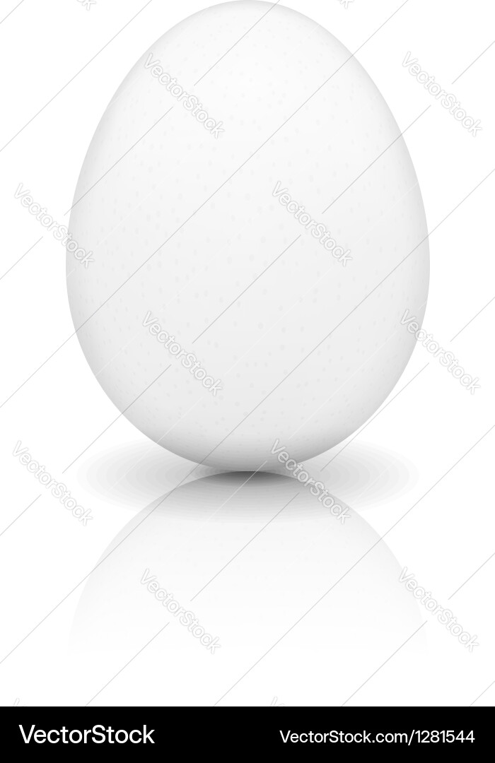 White egg Royalty Free Vector Image - VectorStock