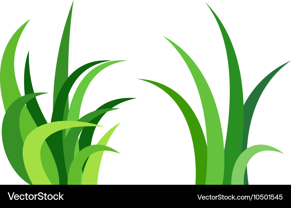 Grass Royalty Free Vector Image - VectorStock