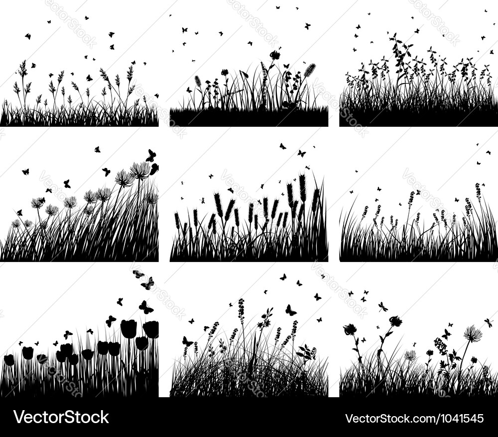 Meadow Royalty Free Vector Image - VectorStock