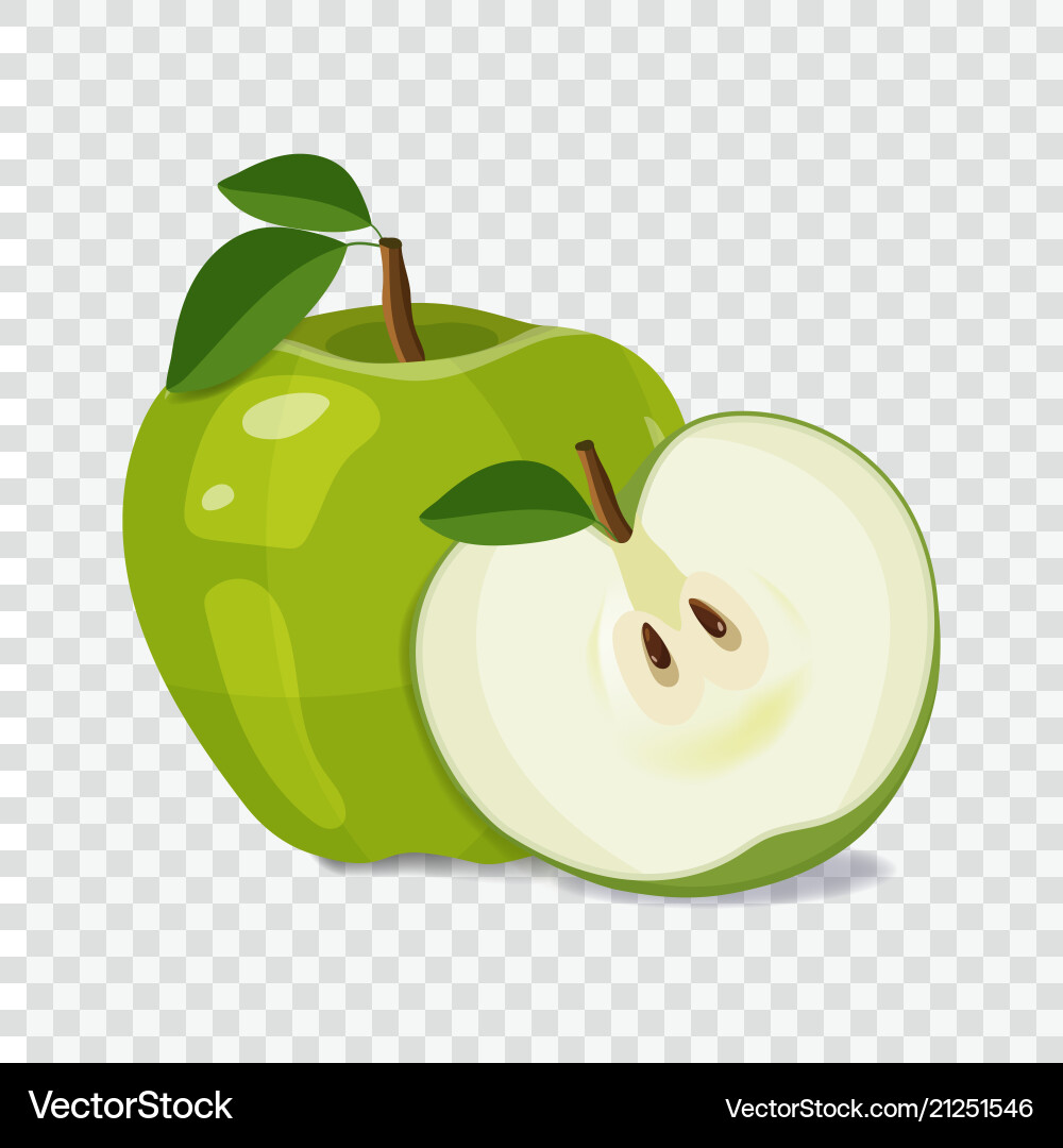 Green apple icon isolated on white background Vector Image