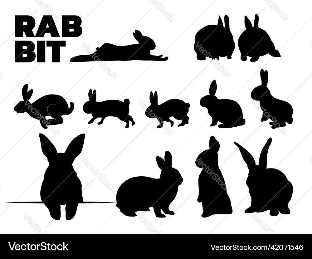 Rabbit silhouette set Royalty Free Vector Image