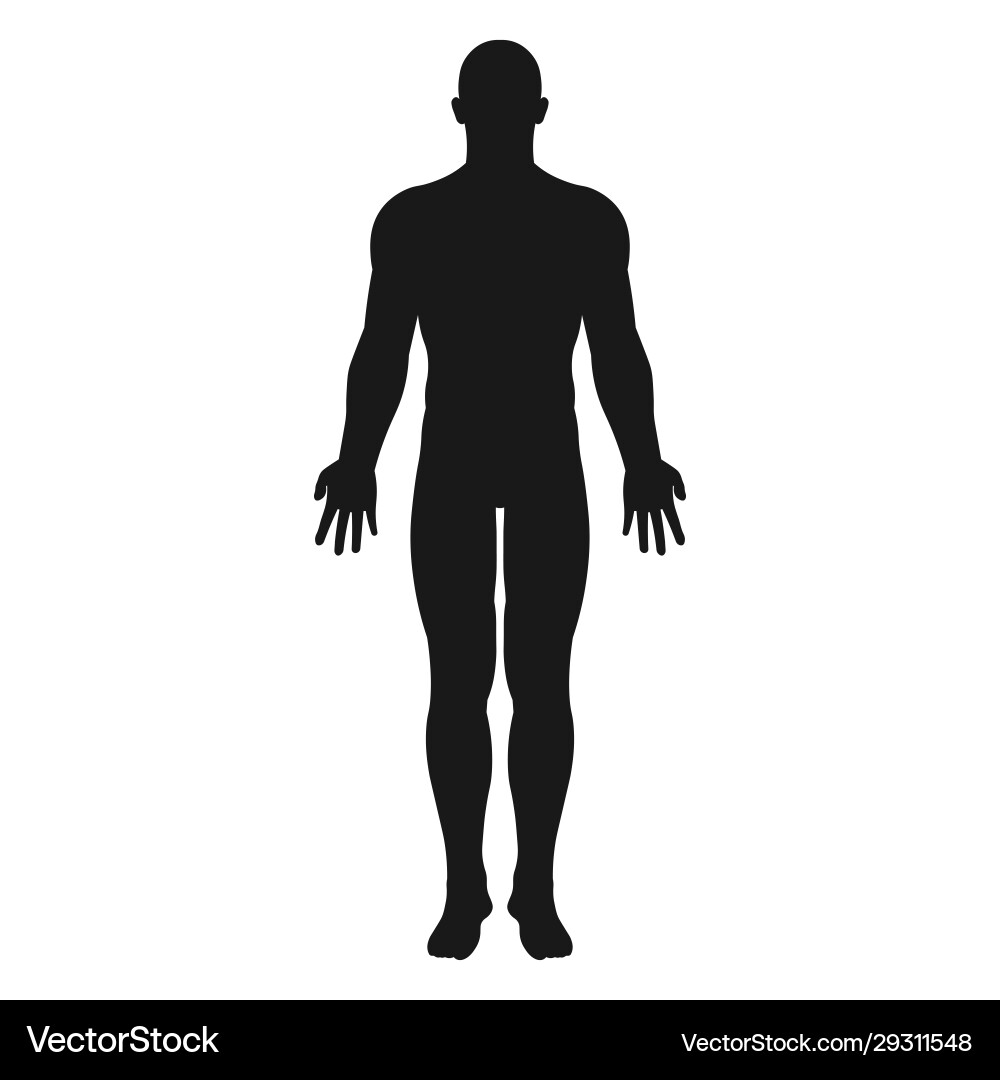 Human body icon flat design Royalty Free Vector Image
