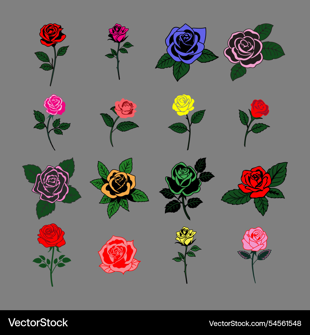Rose designs in various styles and color Vector Image