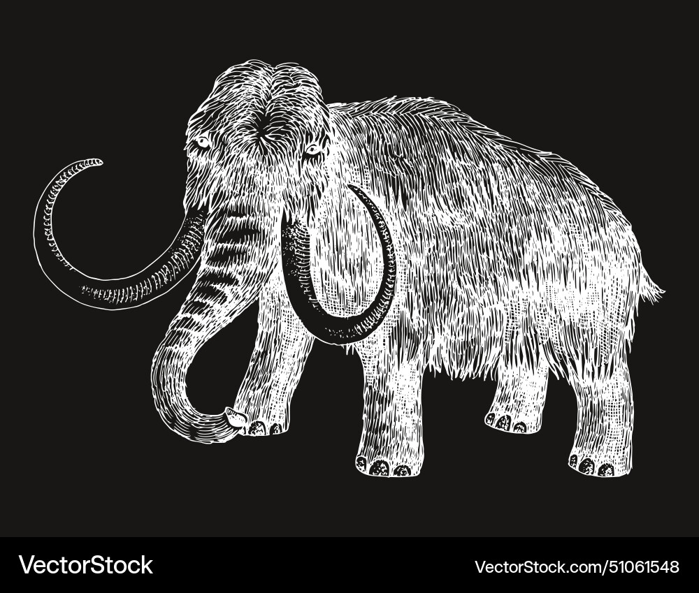 Woolly mammoth extinct animal sketch Royalty Free Vector