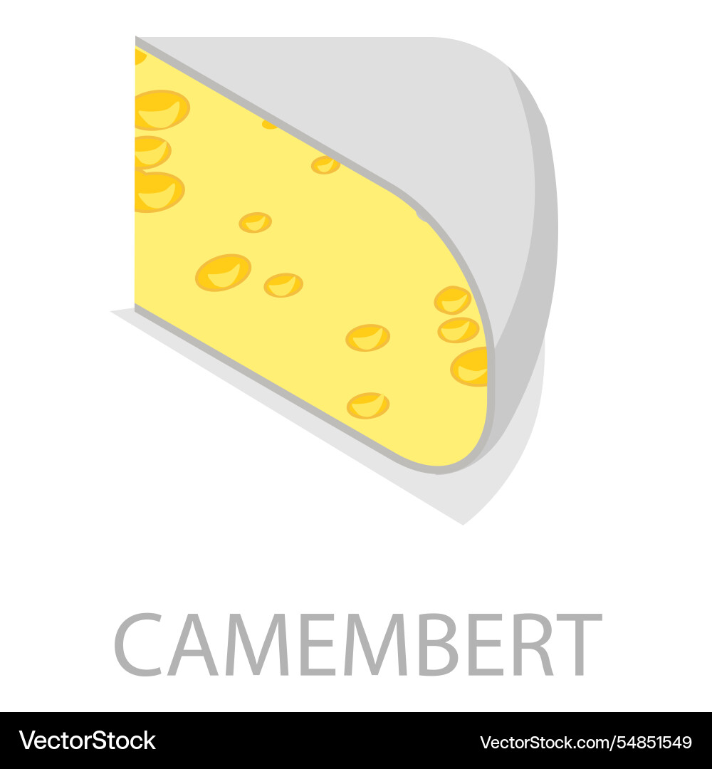 3d isometric flat set of different cheese Vector Image