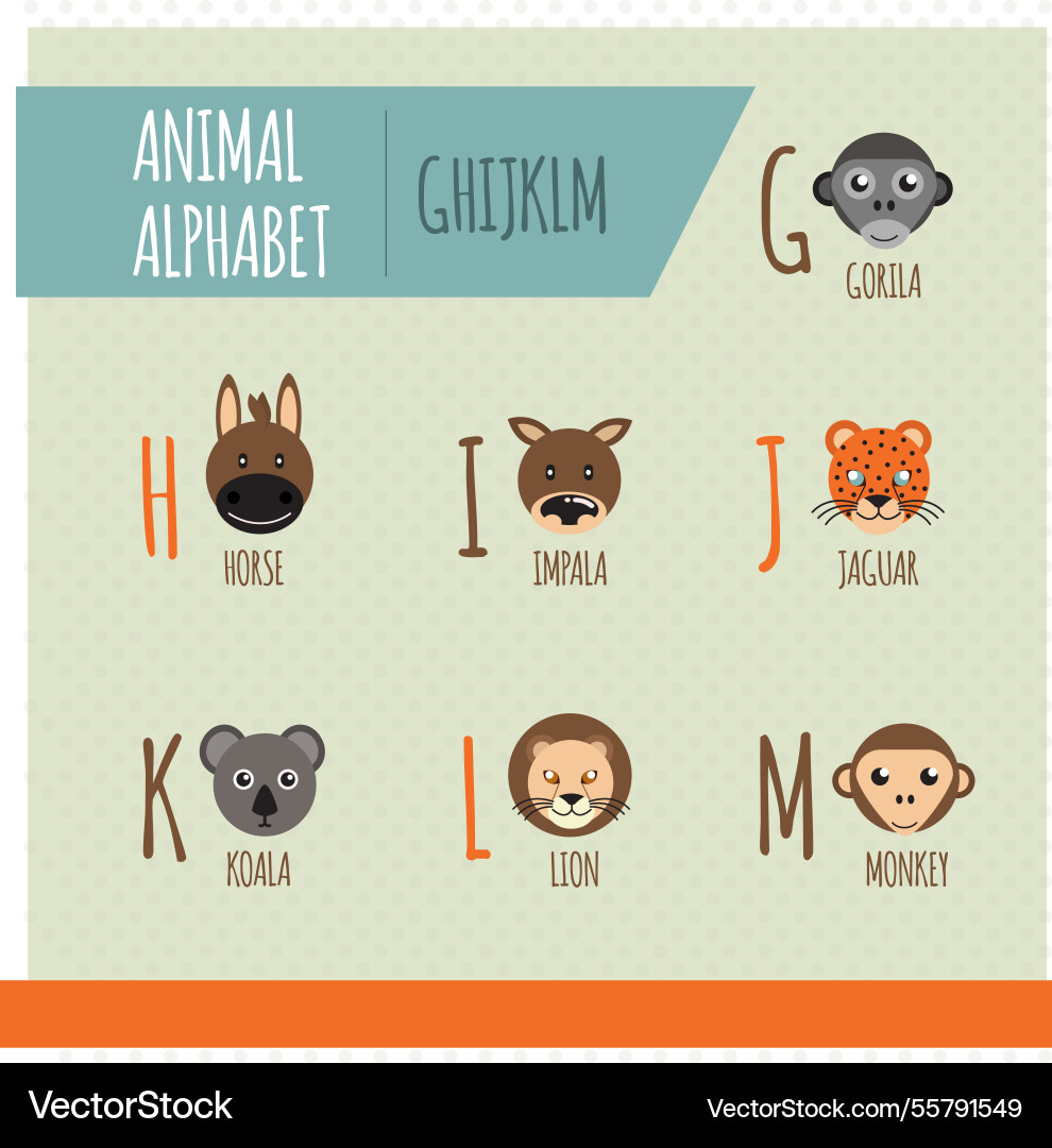 Animal alphabet collection Royalty Free Vector Image
