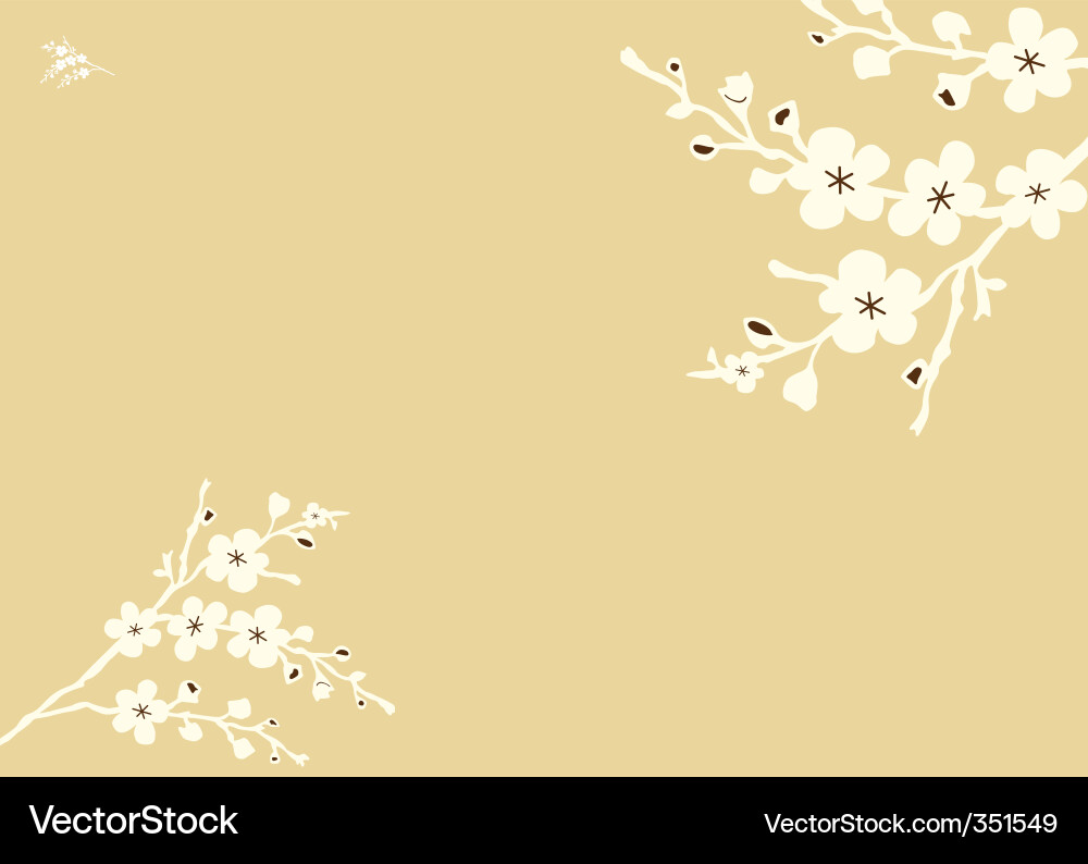 Blossom background Royalty Free Vector Image - VectorStock
