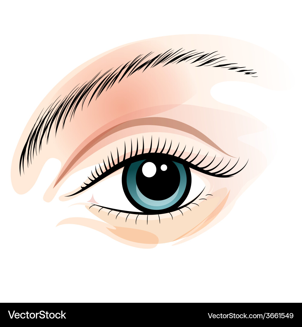 Female eye Royalty Free Vector Image - VectorStock