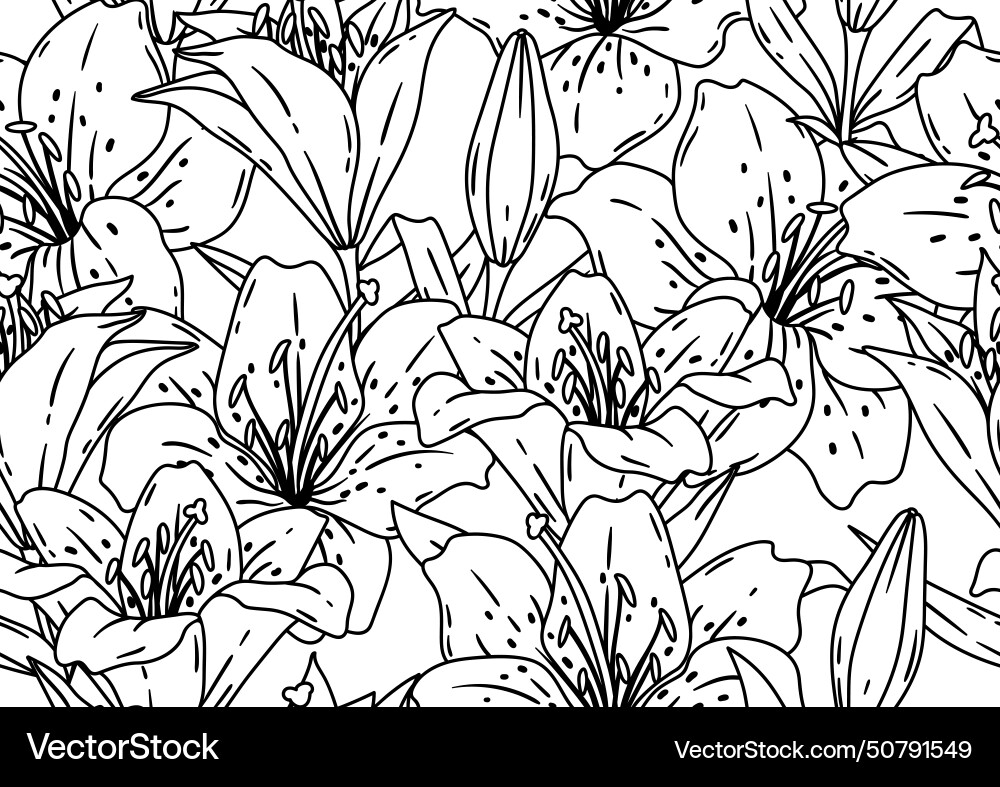 Pattern with lilies flowers beautiful decorative Vector Image