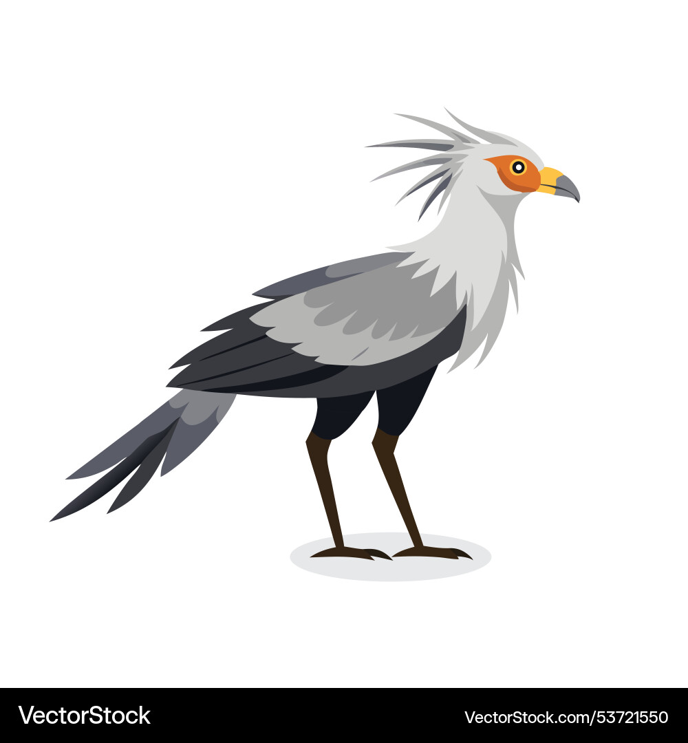 Secretary bird isolated flat on white background Vector Image
