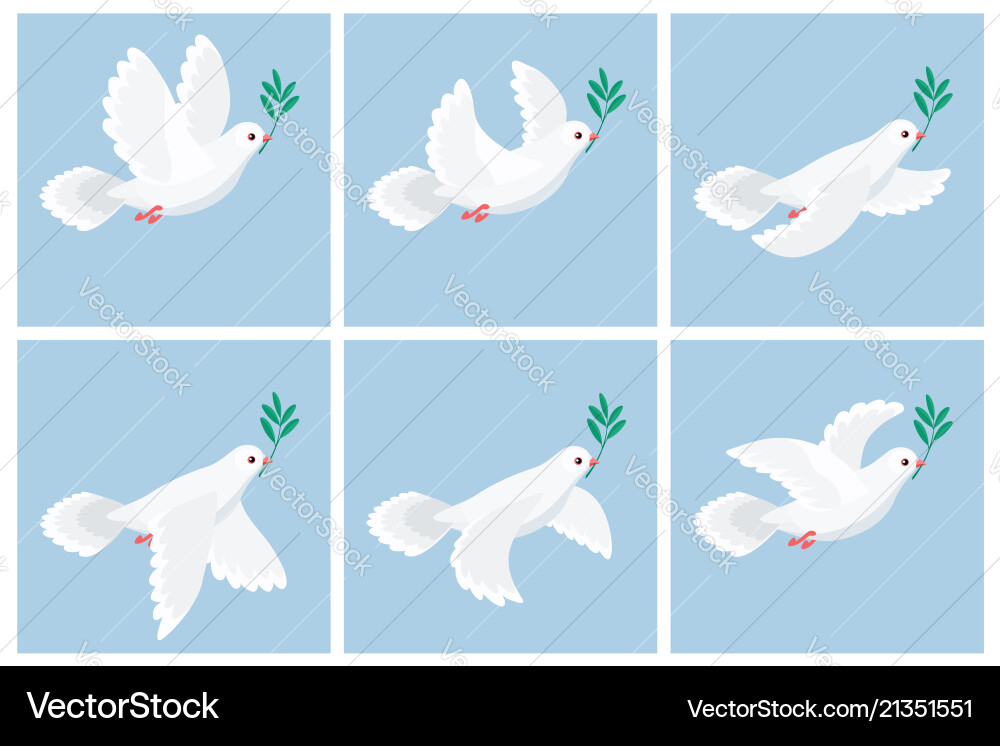 Animated White Dove with Olive Branch Royalty Free Vector
