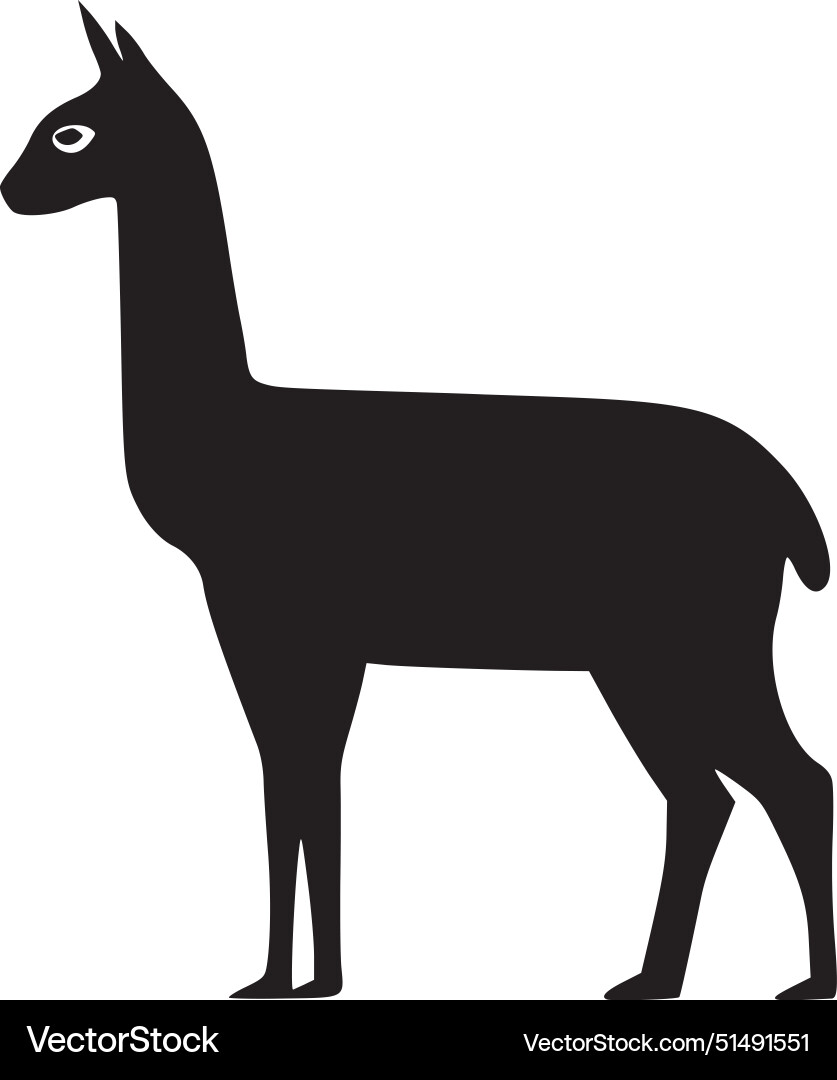 Llama - black and white Royalty Free Vector Image